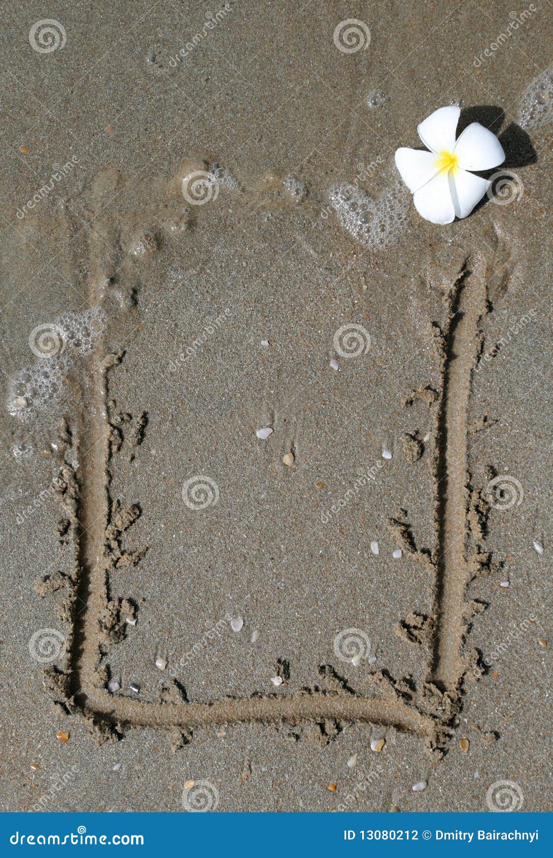 White flower on the sand stock photo. Image of sand, frame - 13080212