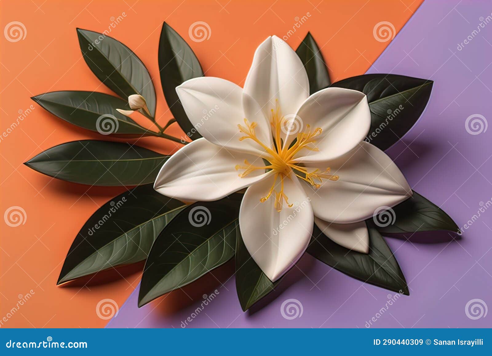 White Flower on a Solid Color Background. Ai Generative Stock Image ...