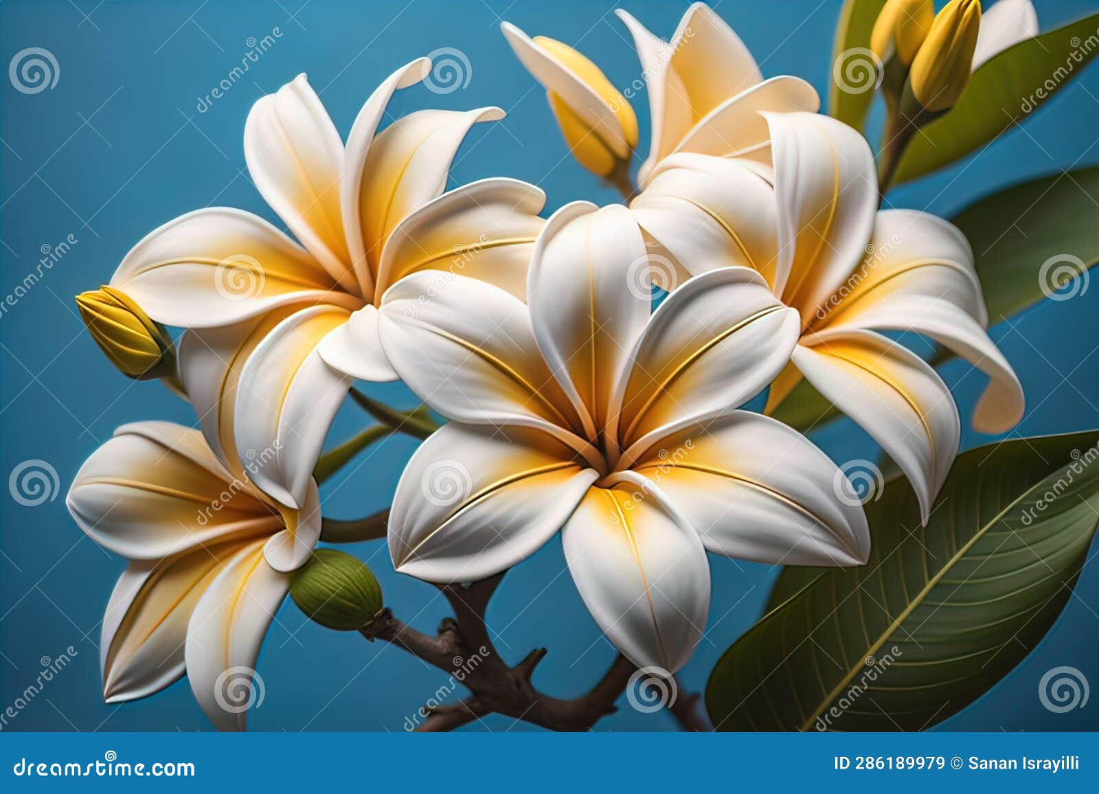 White Flower on a Solid Color Background. Ai Generative Stock Image ...