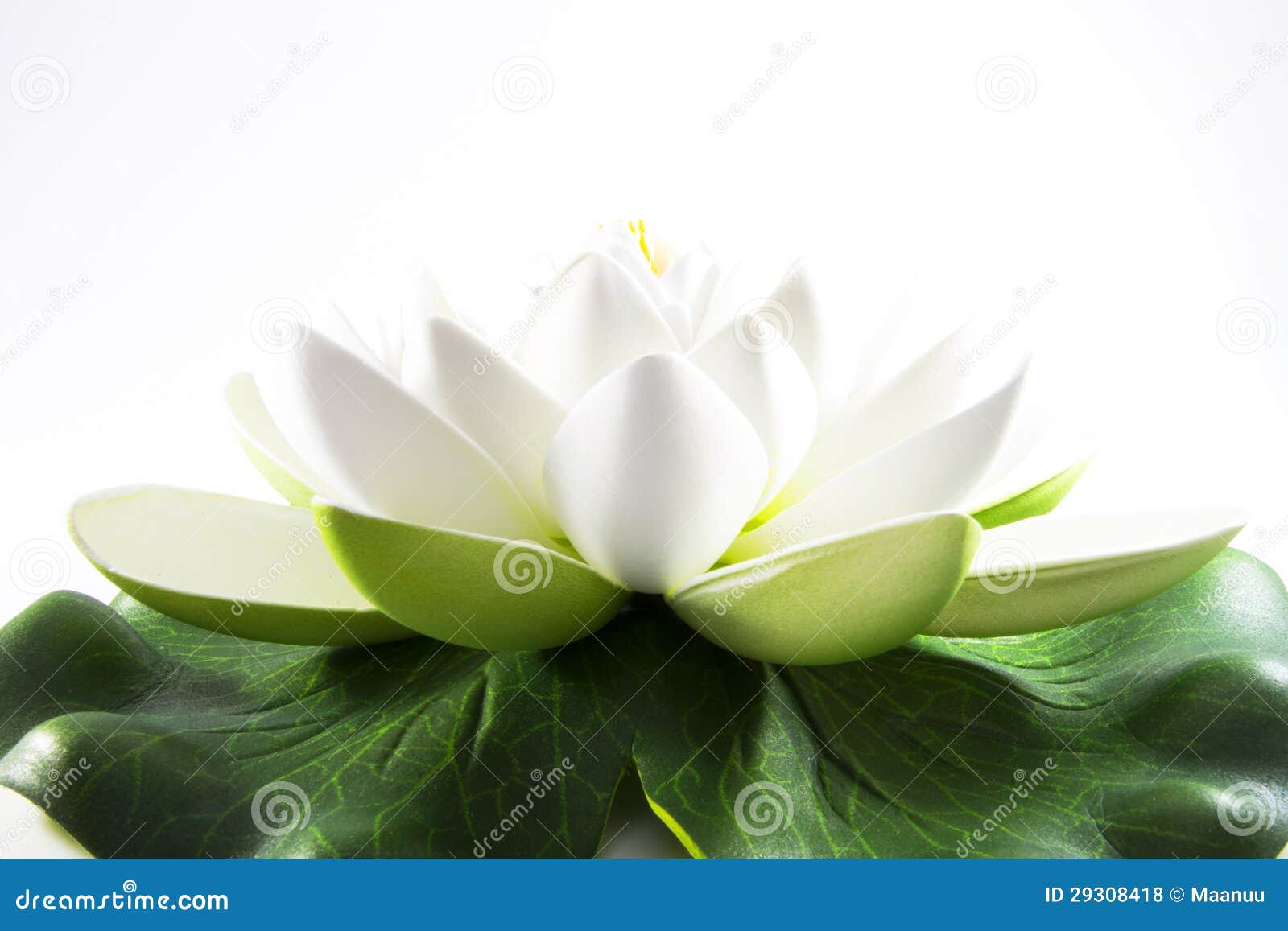 White flower of zen stock photo. Image of pure, wellness - 29308418