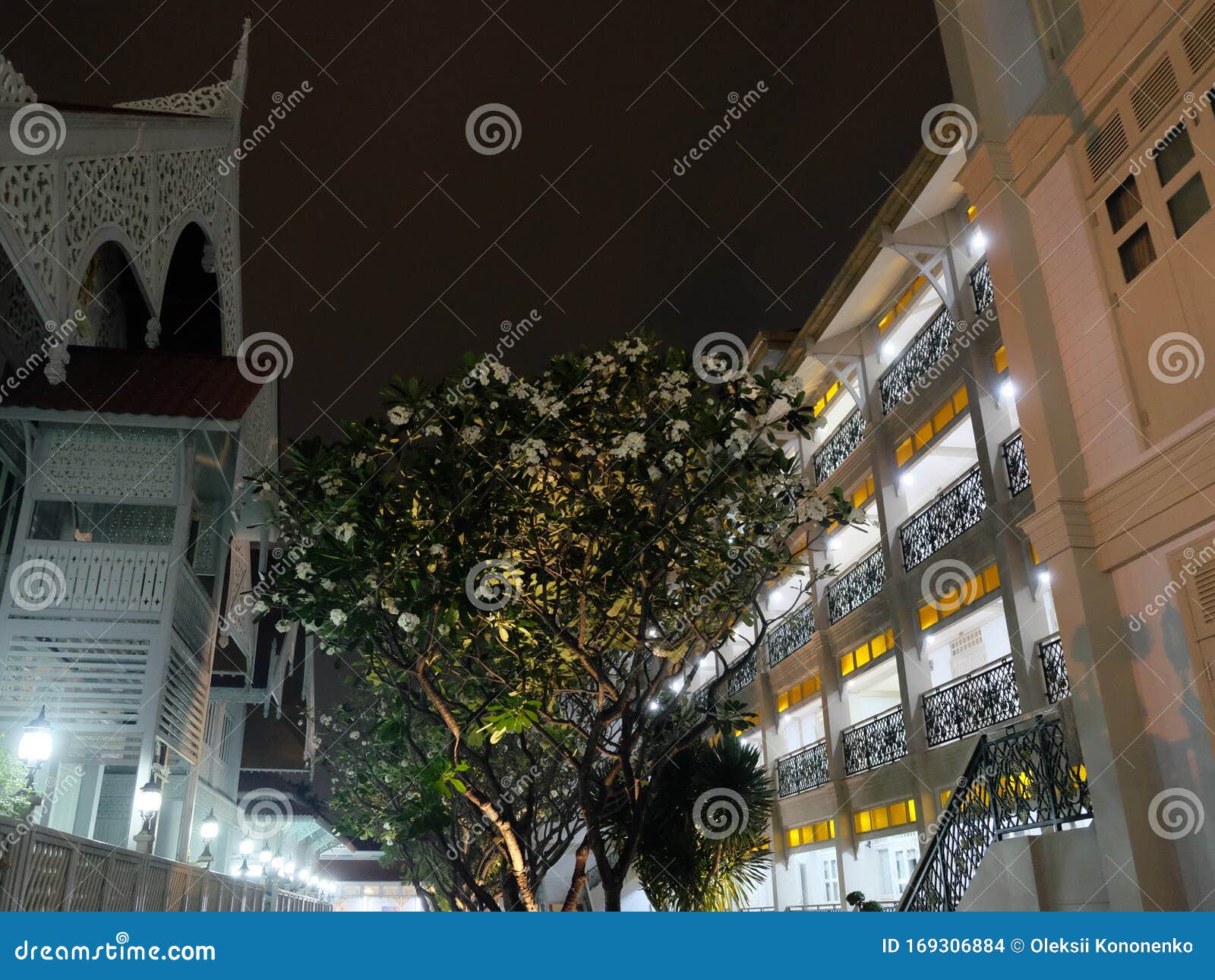 White Flowers Bloom on a Decorative Bush at Night Stock Photo - Image ...