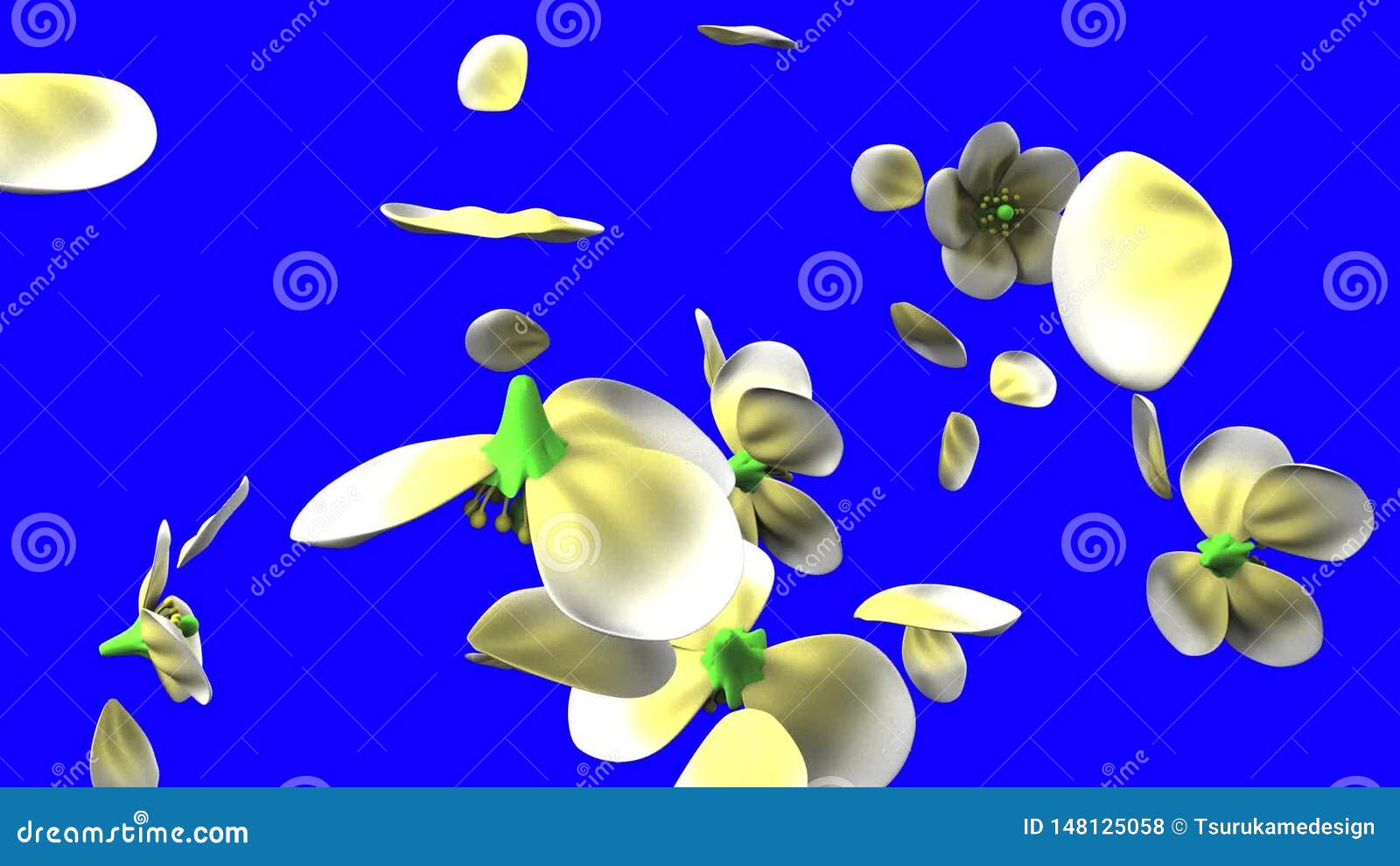 White Flowers on Blue Chroma Key Stock Footage - Video of gentle, blue ...