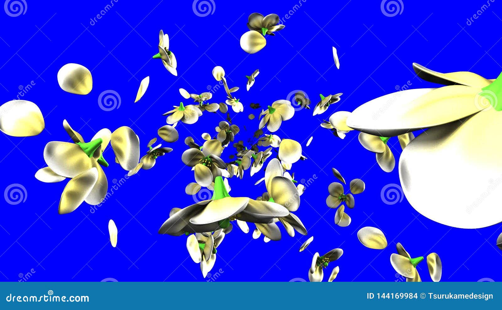 White Flowers on Blue Chroma Key Stock Footage - Video of loop, flower ...
