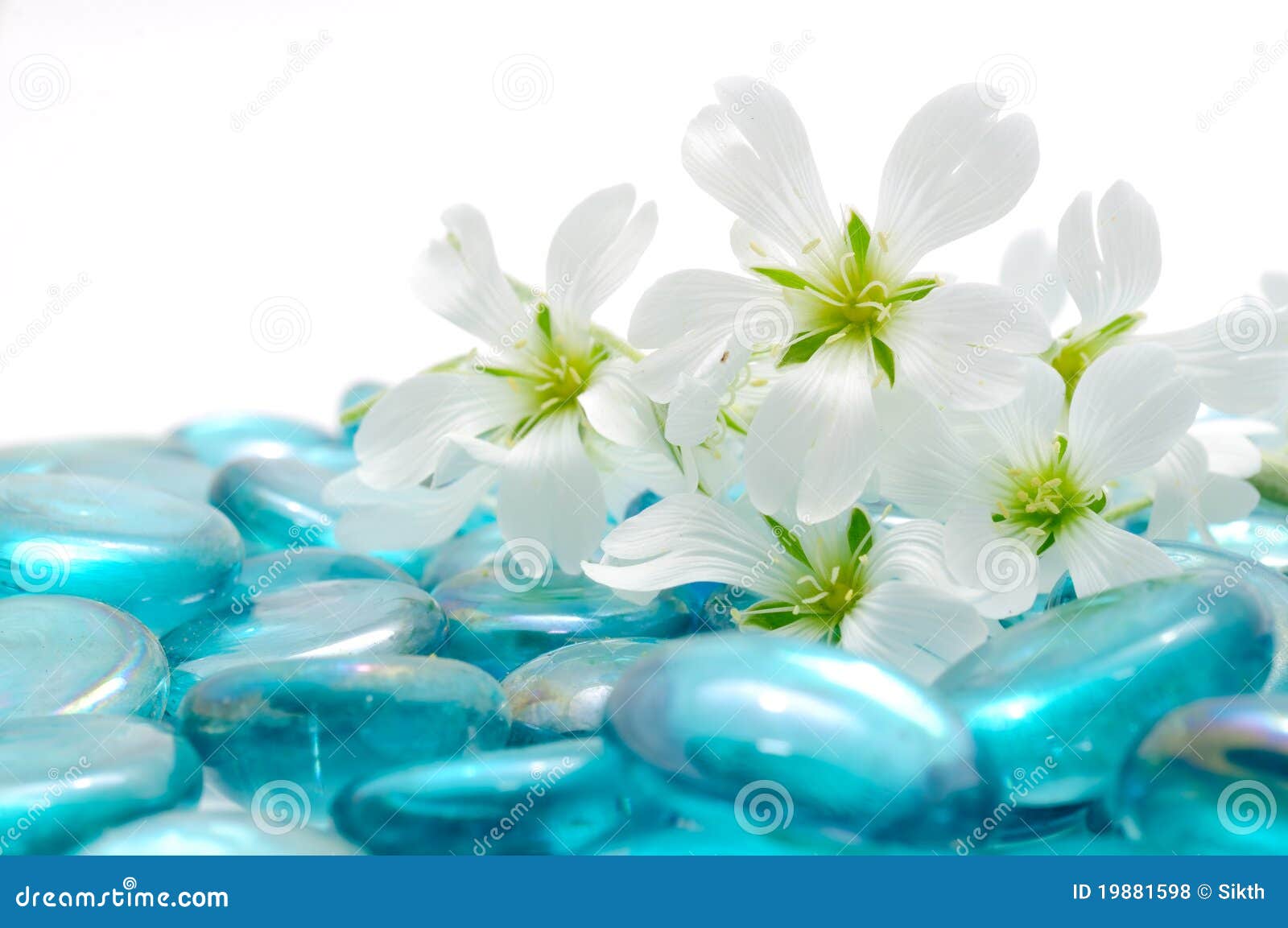 White Flowers on Blue Glass Stones Stock Photo - Image of peace ...