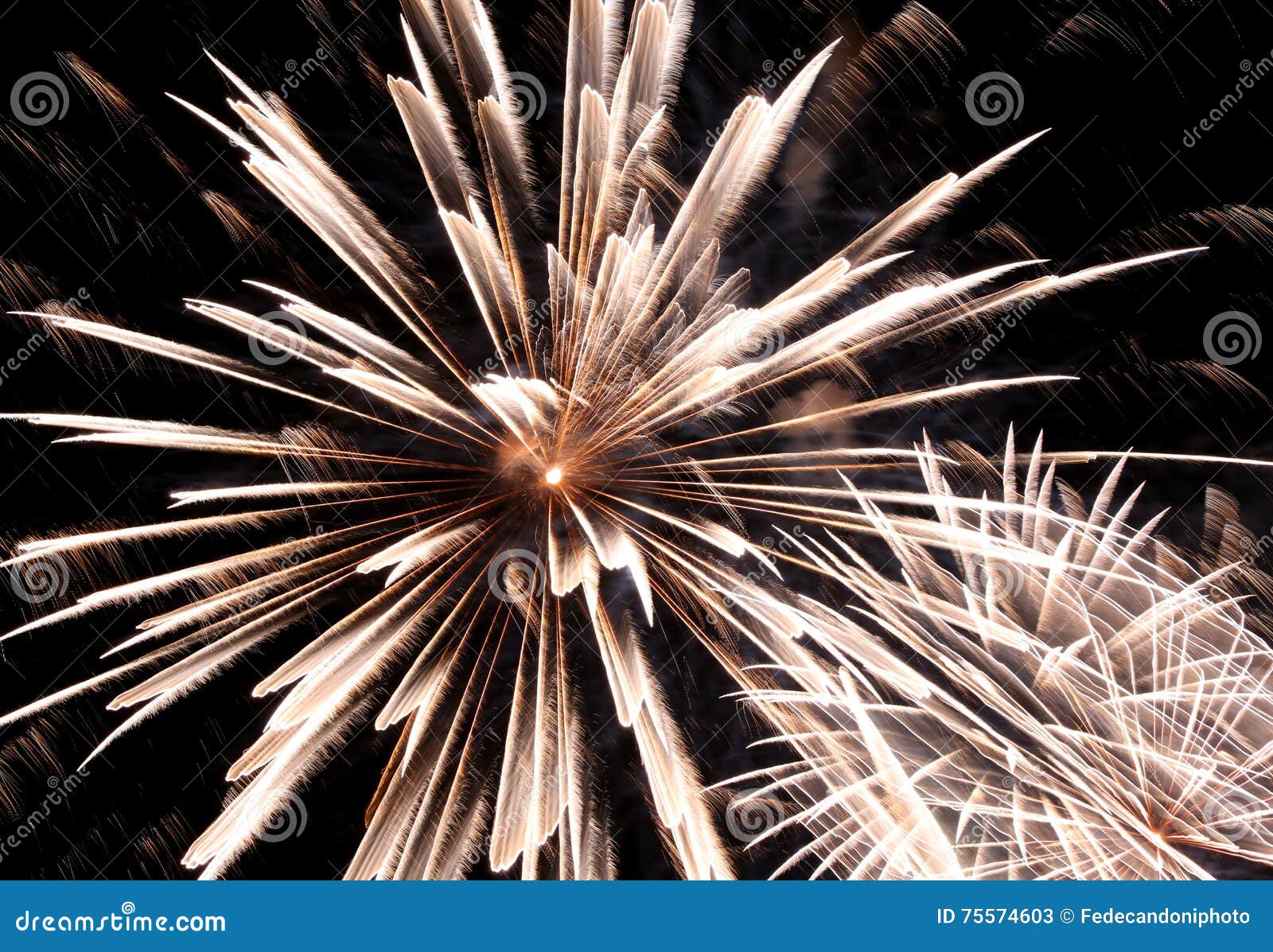 White Flowers Fireworks in the Dark Night Stock Image - Image of ...