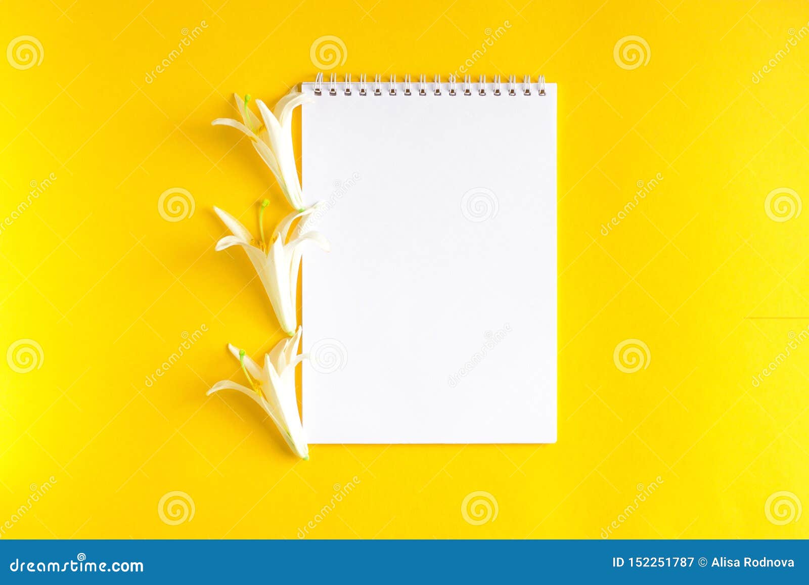 White Flowers with Notepad on Yellow Background Stock Image - Image of ...