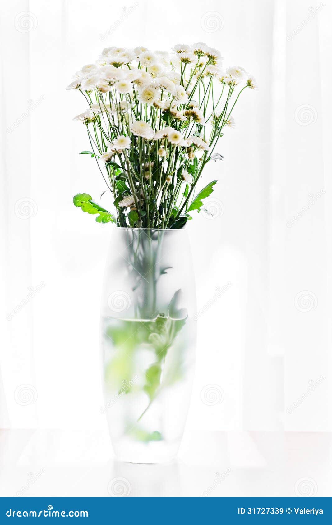 White flowers in a vase stock image. Image of vase, white - 31727339