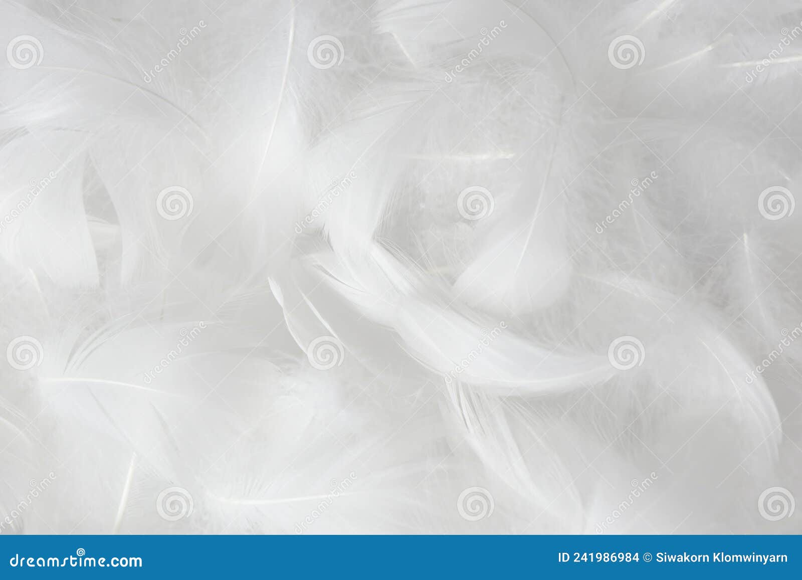 White Fluffly Feathers Texture Vintage Background. Swan Feathers. Stock ...