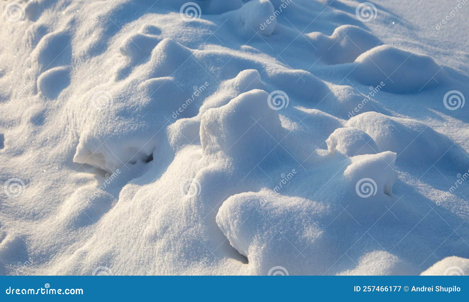 White Fluffy Snow on the Ground As a Background. Stock Image - Image of ...