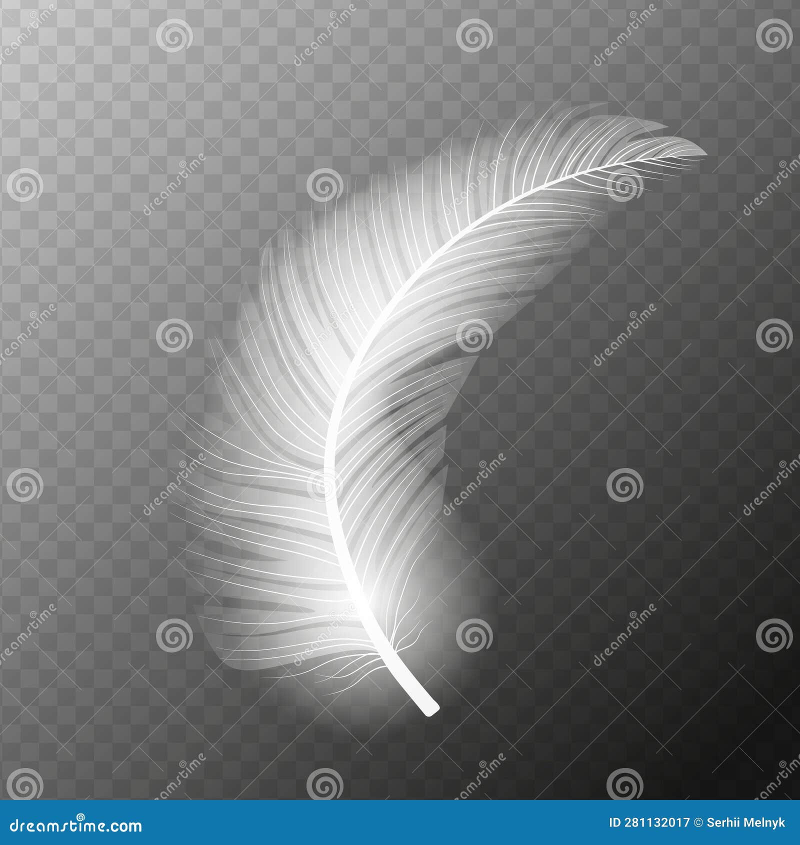 White Flying feather stock vector. Illustration of transparent - 281132017