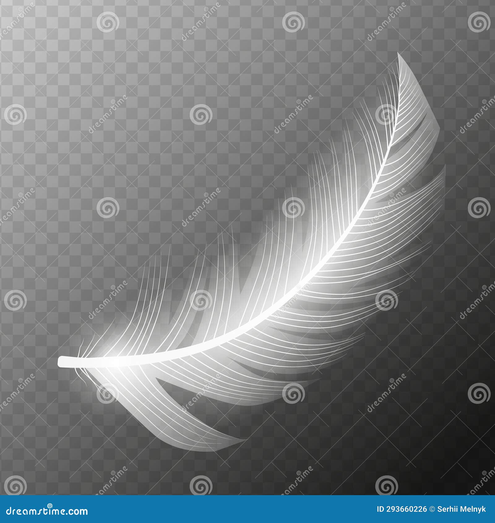 White Flying feather stock vector. Illustration of plume - 293660226