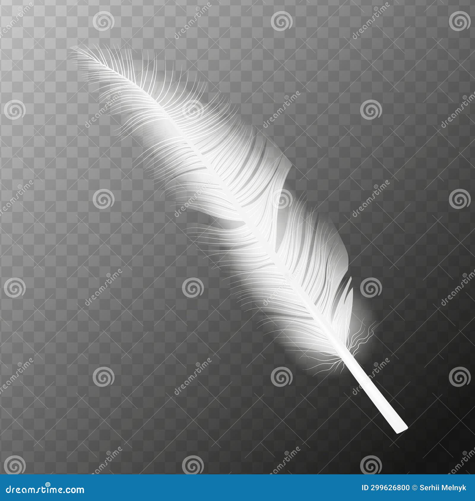 White Flying feather stock vector. Illustration of swan - 299626800