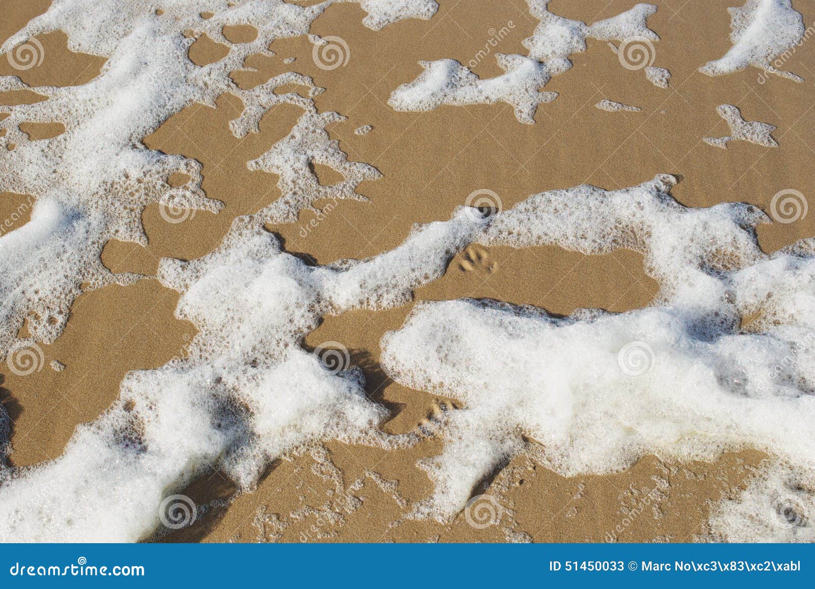 White foam on beach stock image. Image of pattern, nature - 51450033