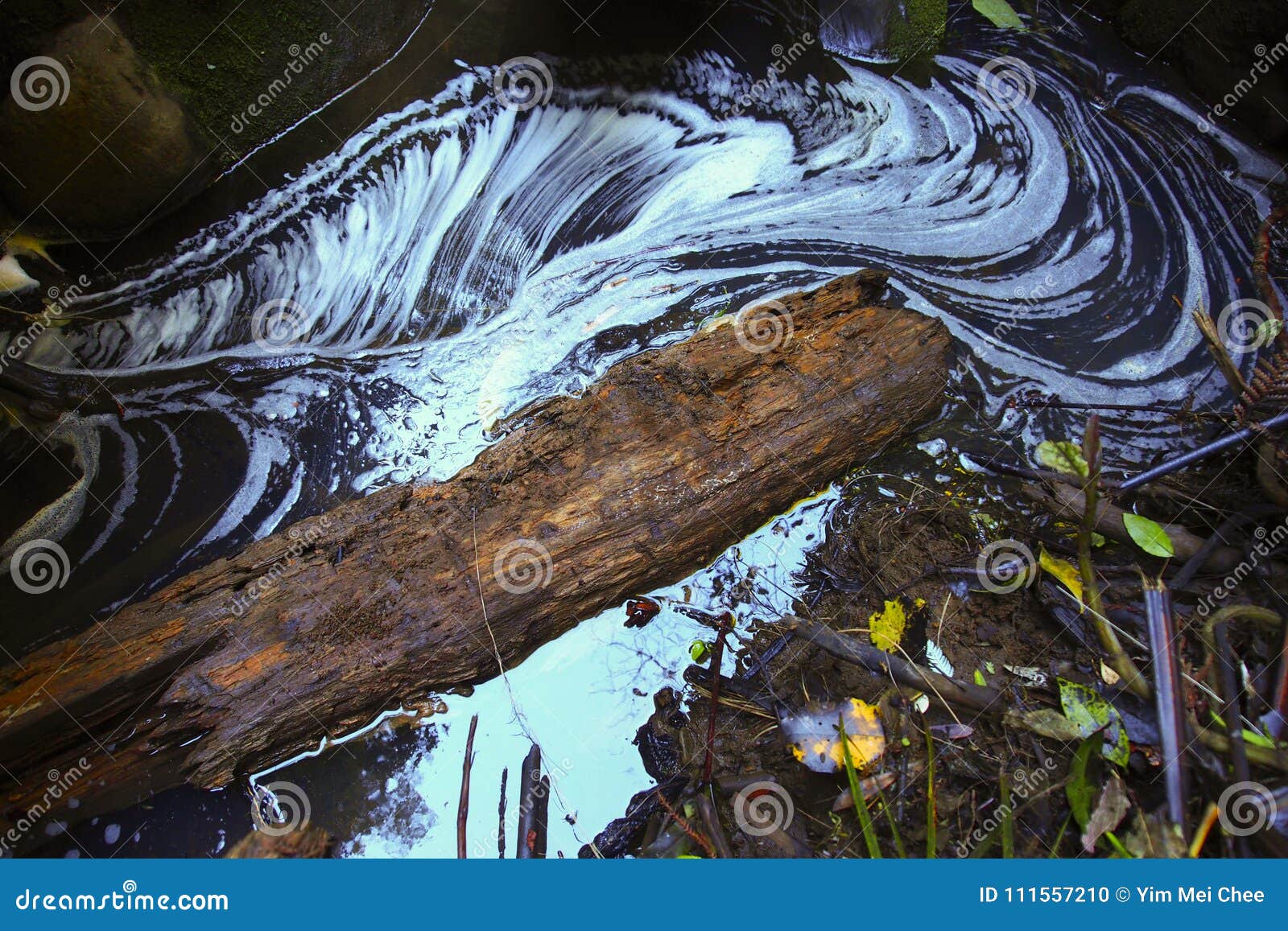 White Foam Swirl Pattern on River Surface Stock Photo - Image of river ...