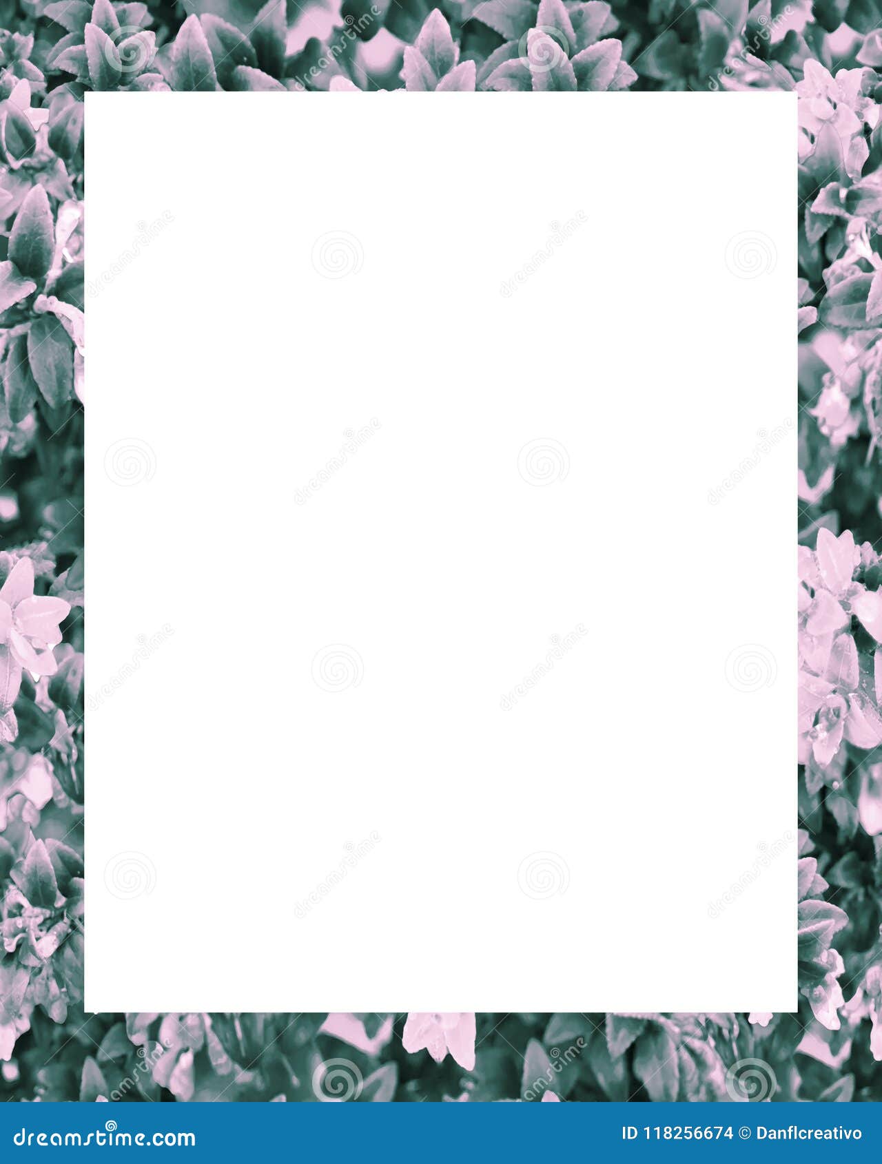 White Frame with Decorated Borders Stock Photo - Image of decoration ...