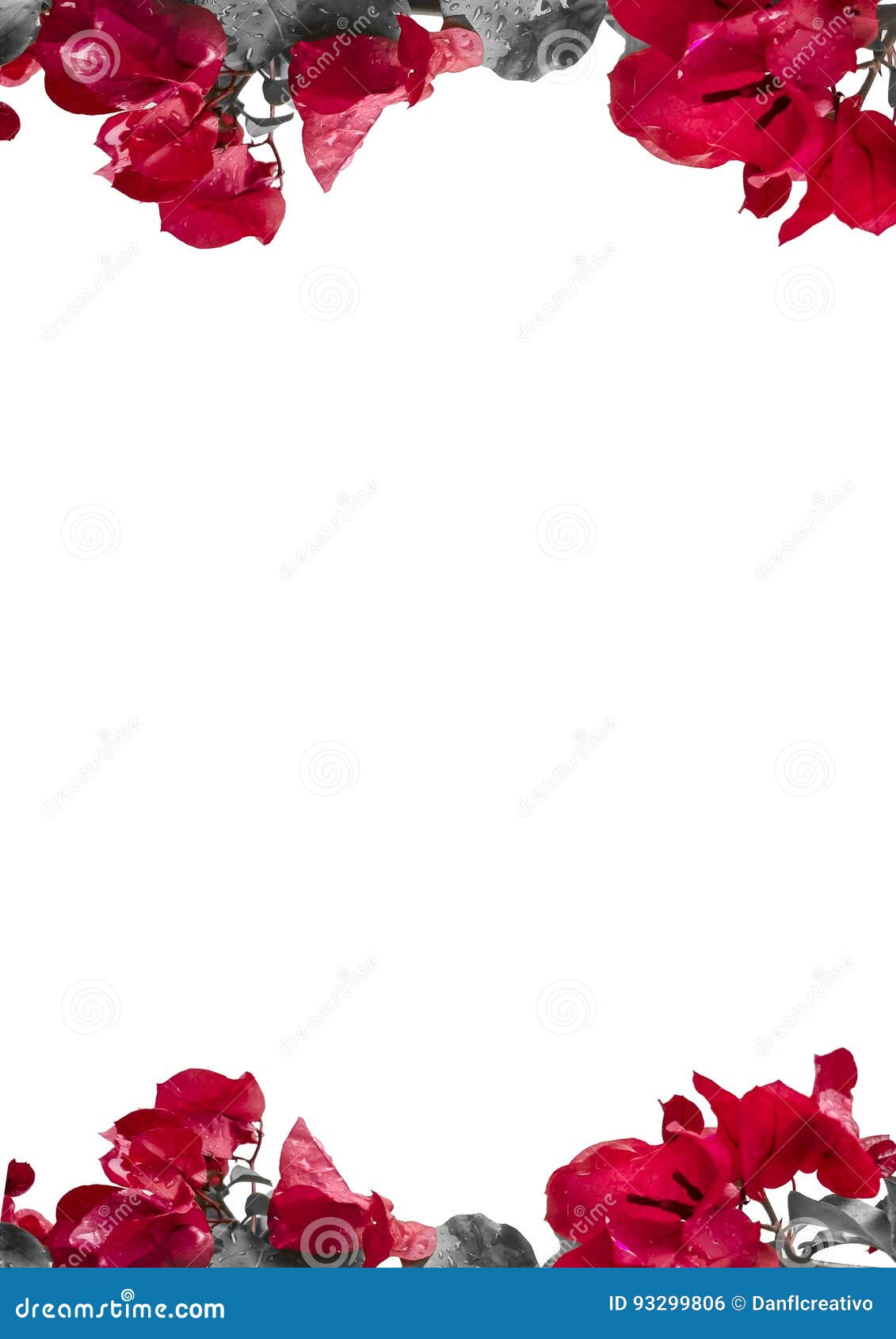 White Frame with Decorated Floral Borders Stock Photo - Image of design ...