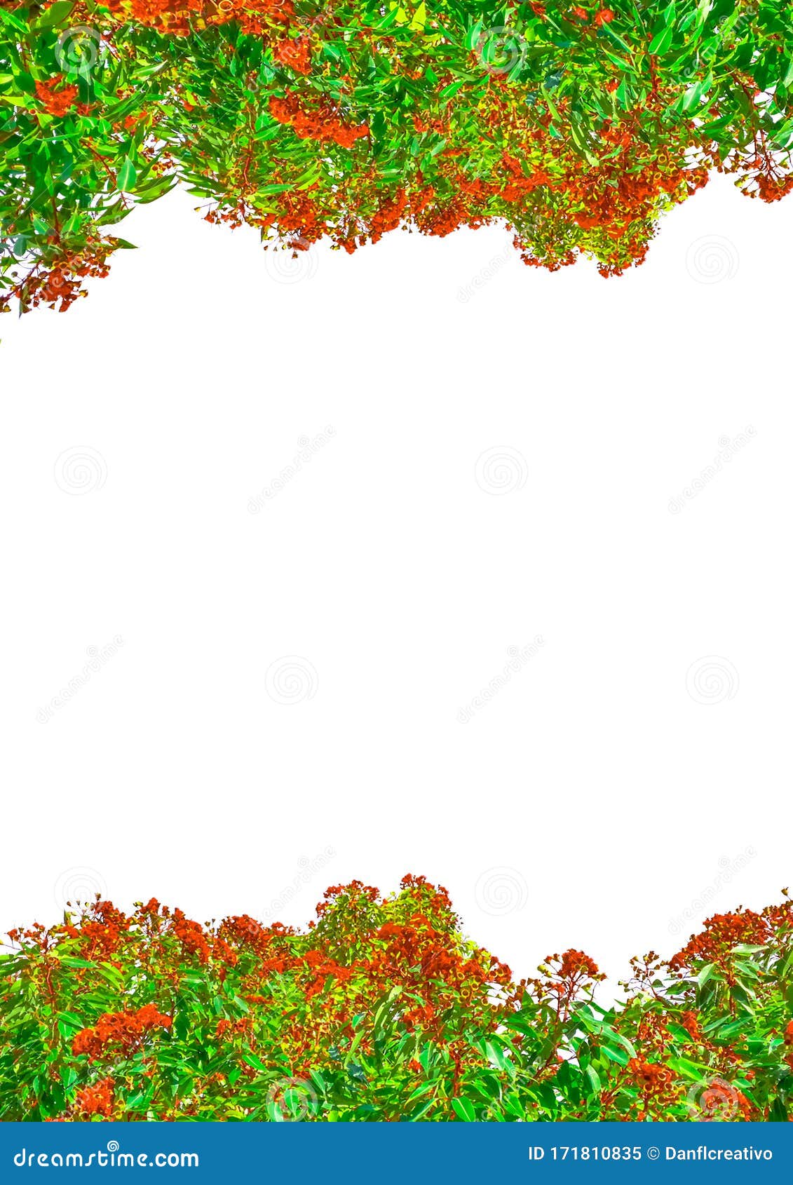 Bottom Page Border Design