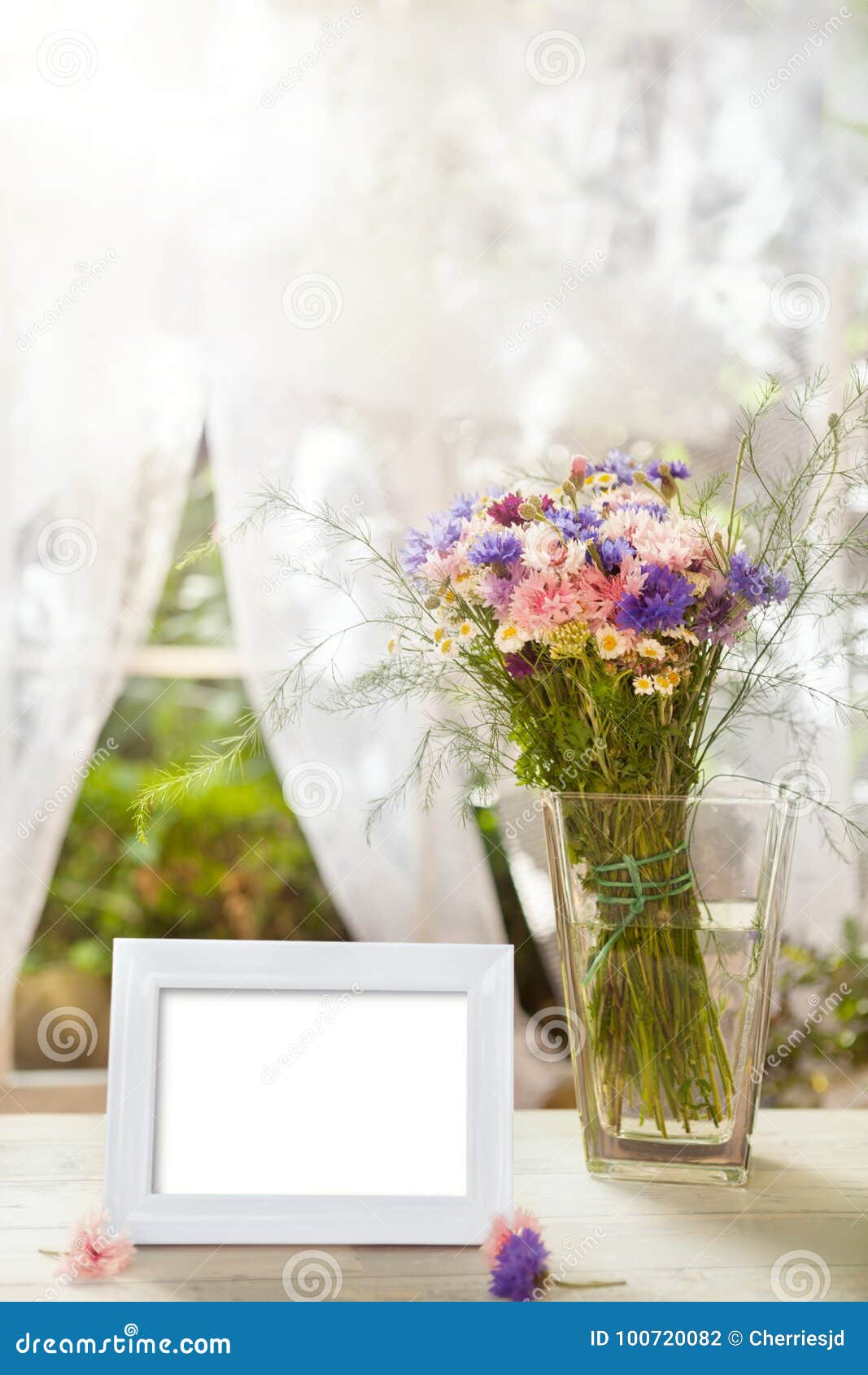 White Frame and Vase with Flowers Stock Photo - Image of elegant, daisy ...