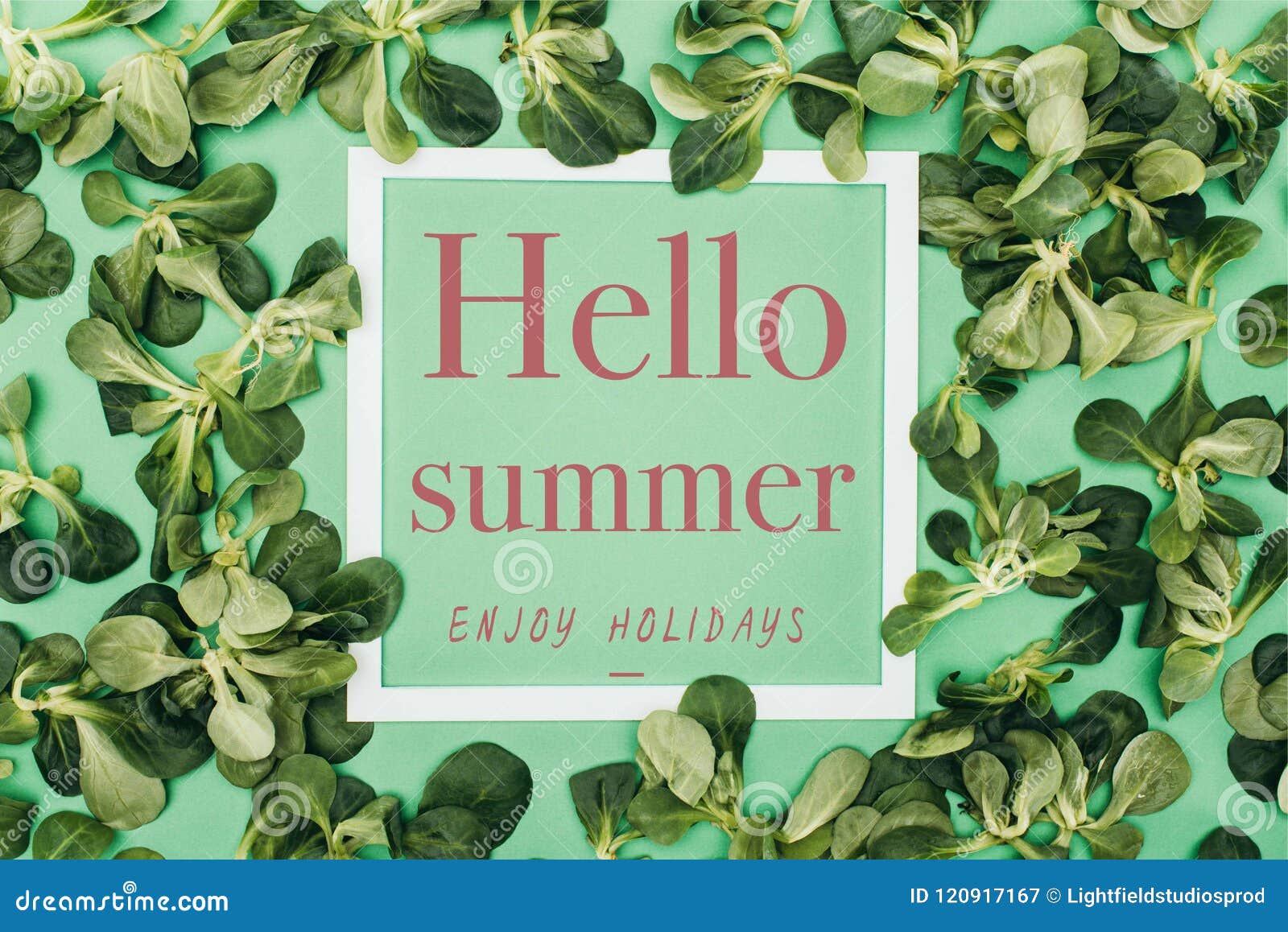 White Frame with Words Hello Summer, Enjoy Holidays and Fresh Green ...