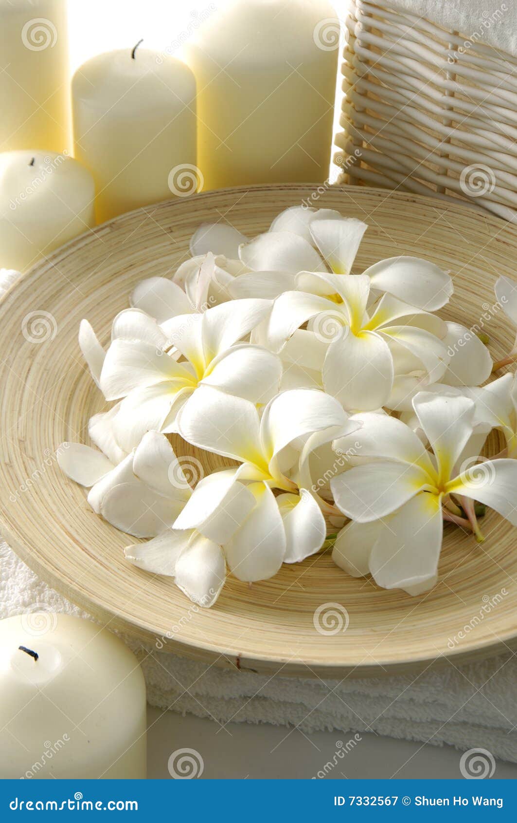 White Frangipani stock image. Image of candles, scene - 7332567