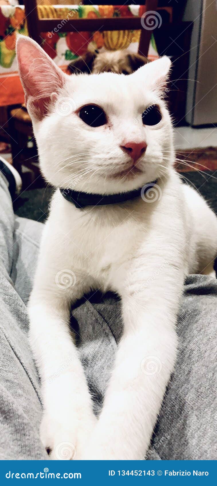 A white friend stock image. Image of nice, white, legs - 134452143