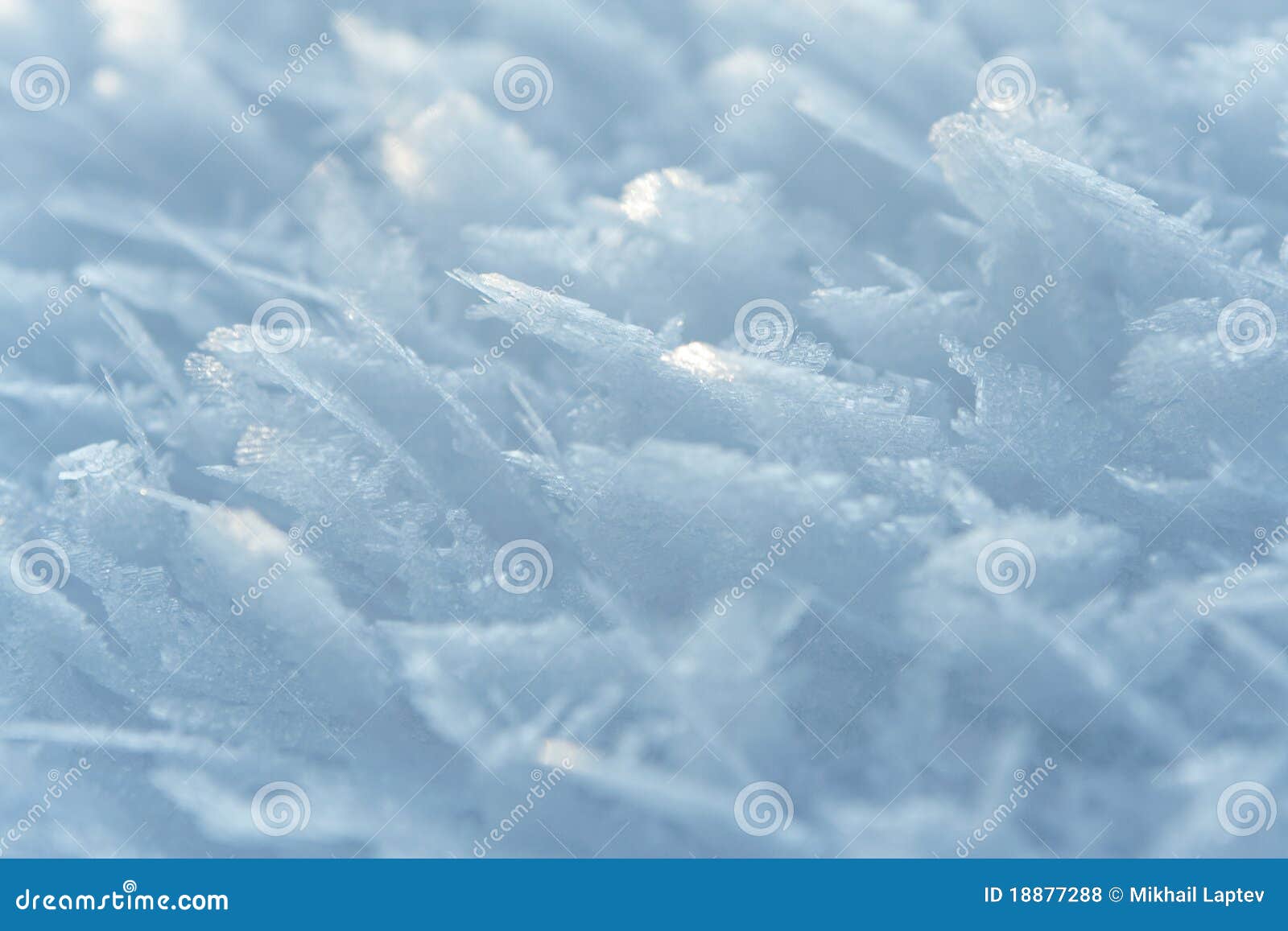 White frost stock photo. Image of season, light, white - 18877288