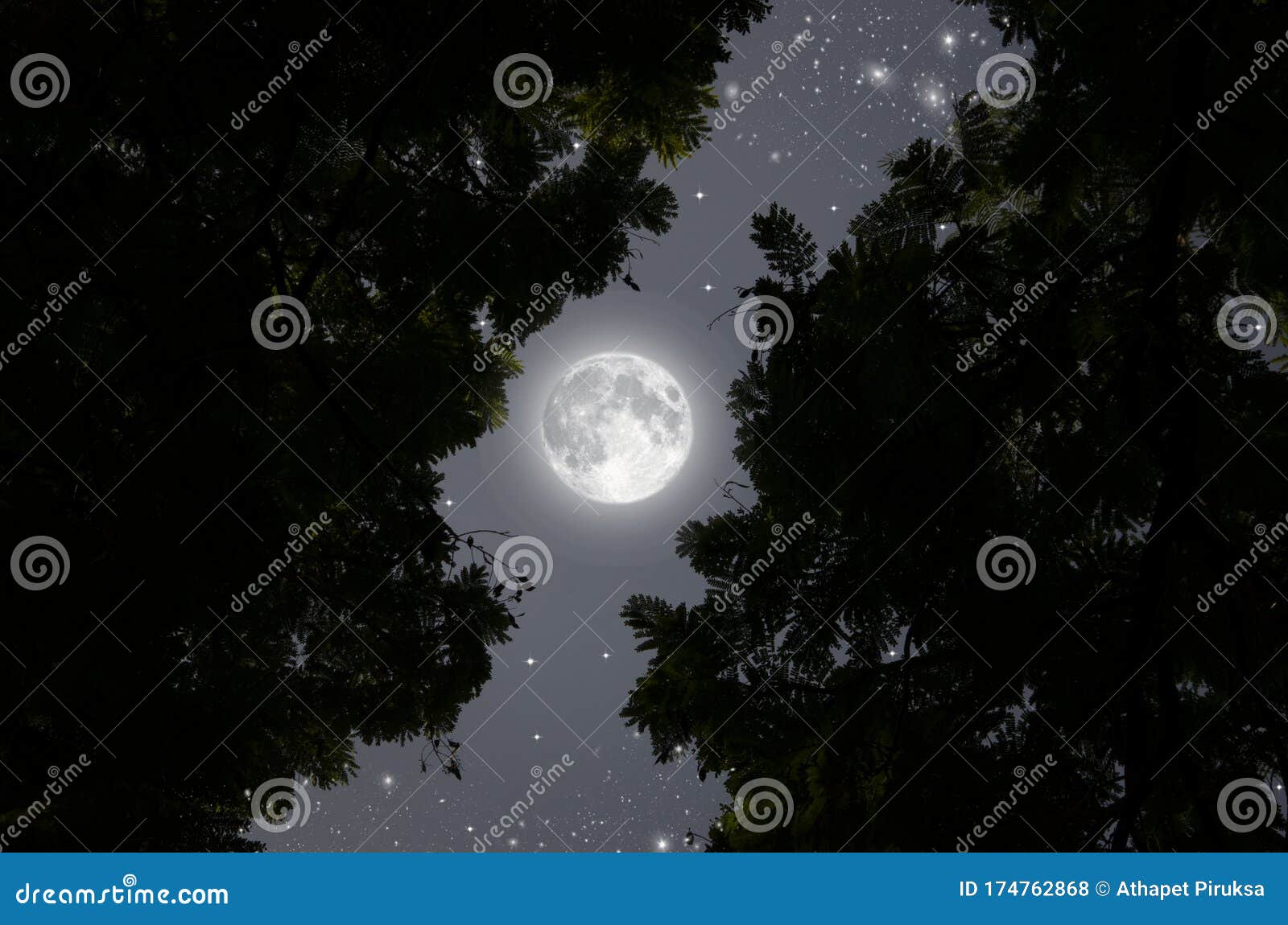 White Full Moon and Bright Stars at Night Stock Photo - Image of ...