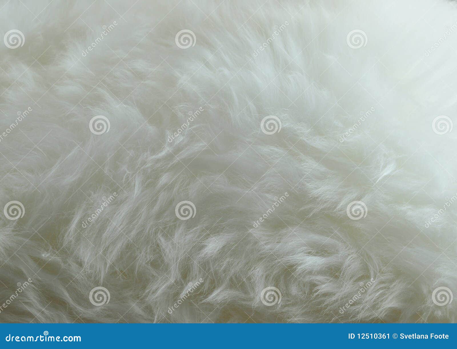 White fur stock image. Image of animal, soft, sheep, pattern - 12510361