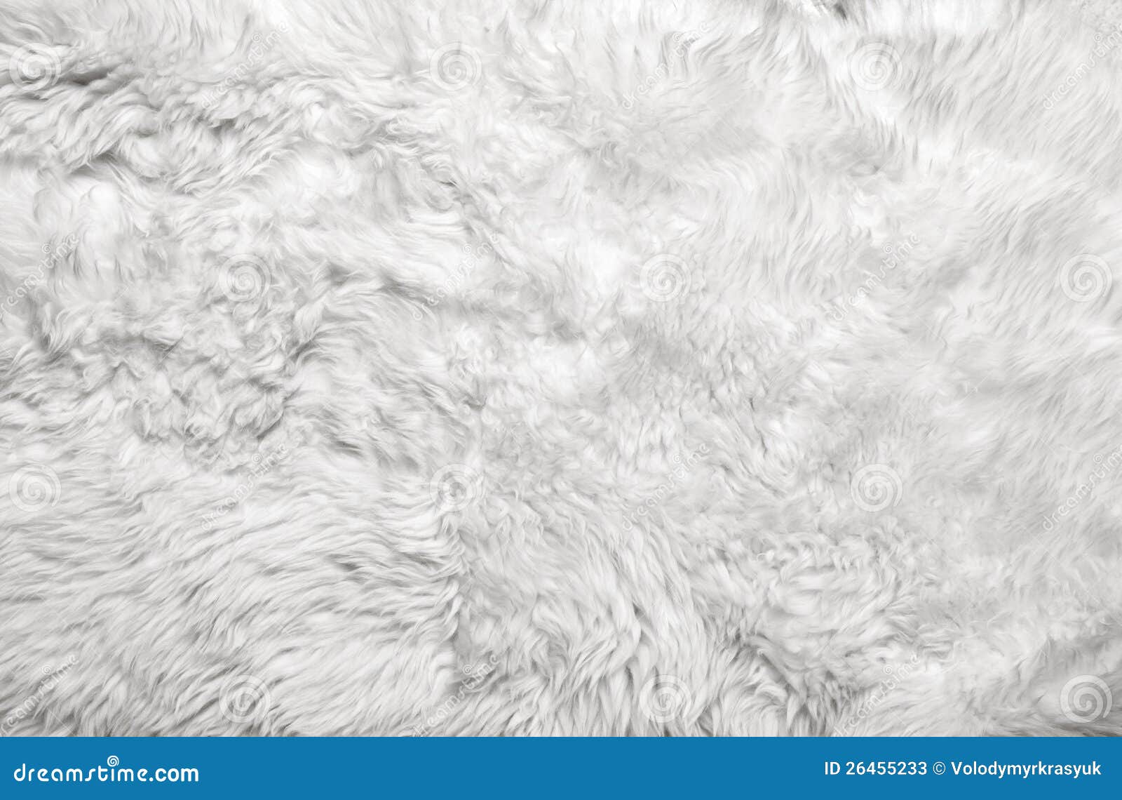 White fur background stock image. Image of fluffy, background - 26455233