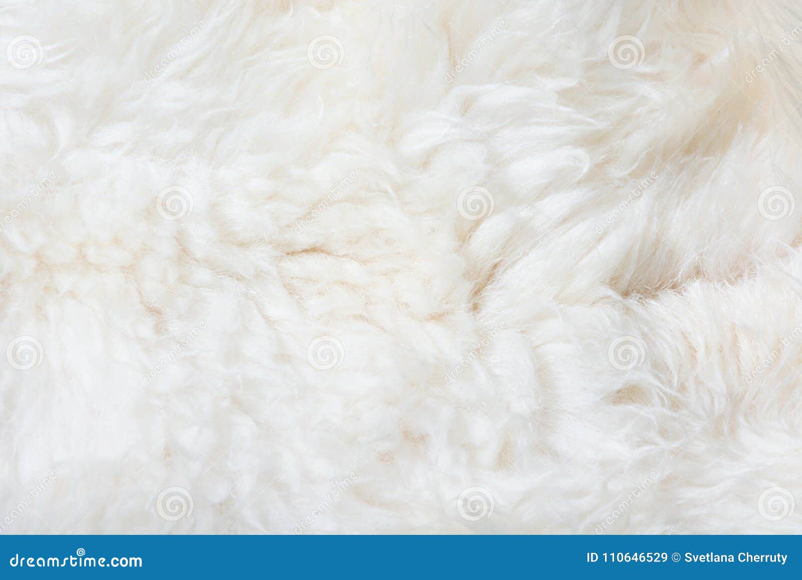 White Fur Close Up Background. Texture, Pattern. Stock Image - Image of ...