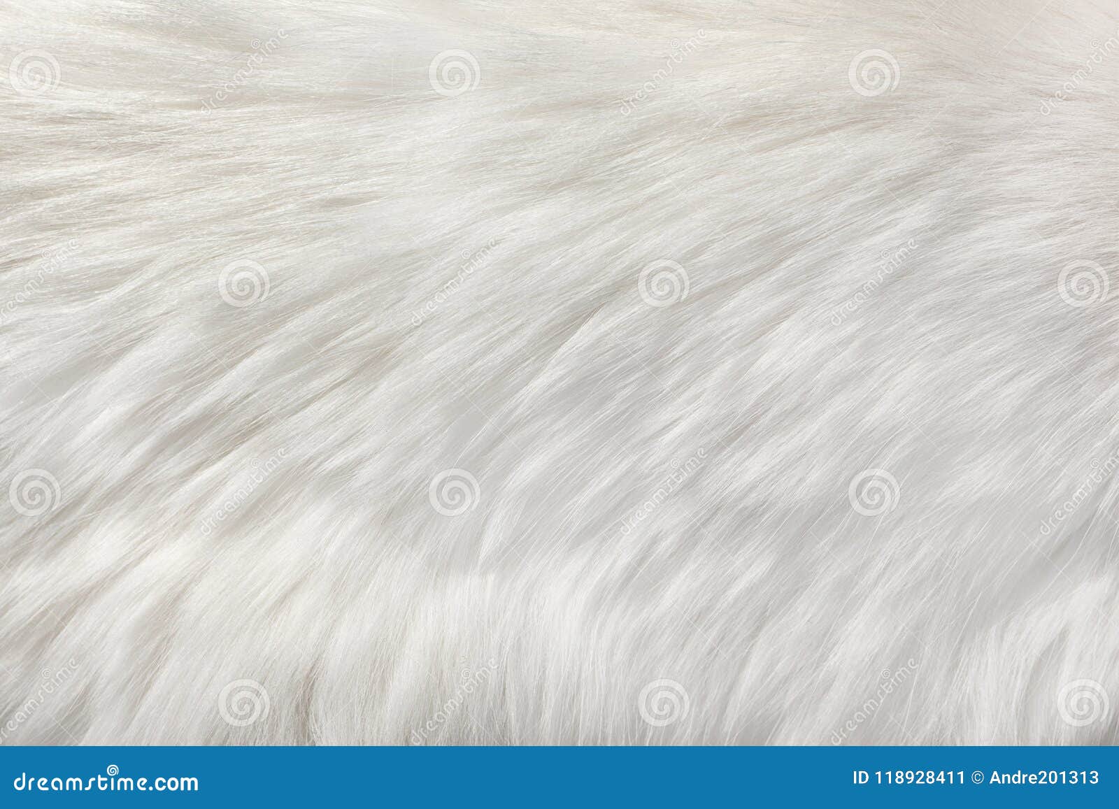 White Natural Fur Background Stock Image - Image of natural, abstract ...