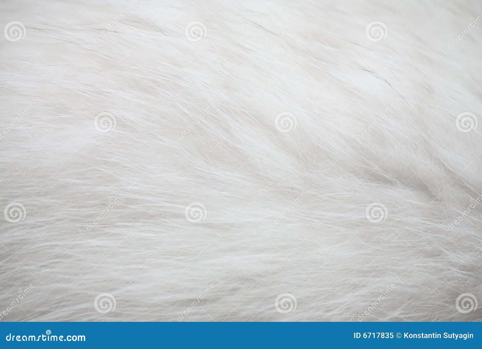 White Fluffy Texture