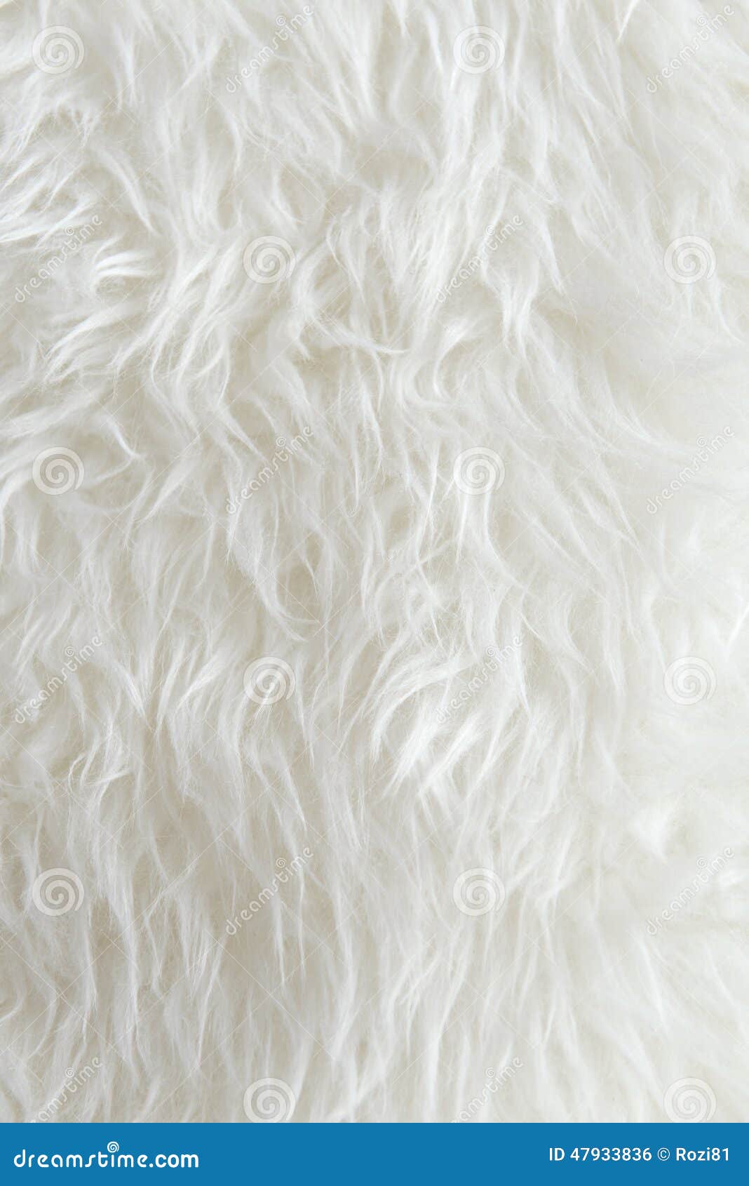 White Fluffy Texture