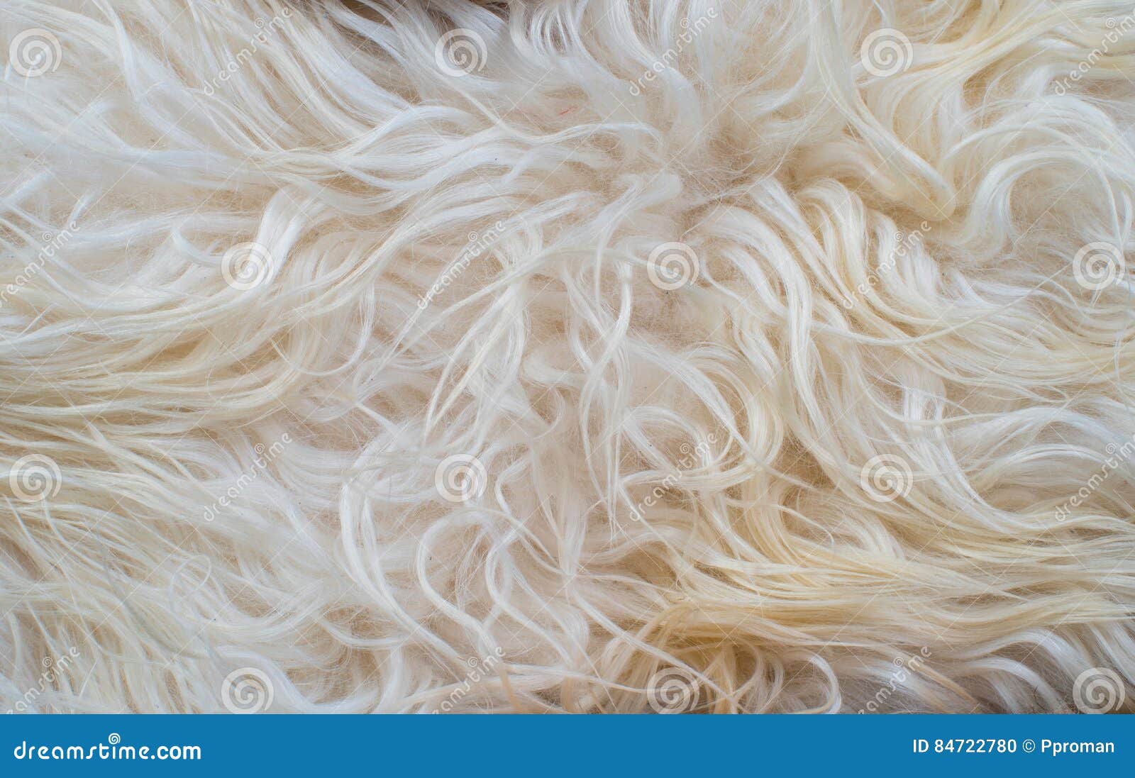 White Fluffy Texture