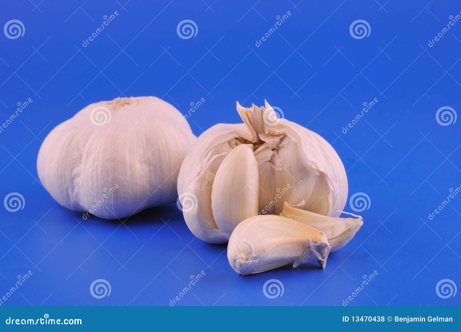 White Garlic stock photo. Image of food, color, bulb - 13470438
