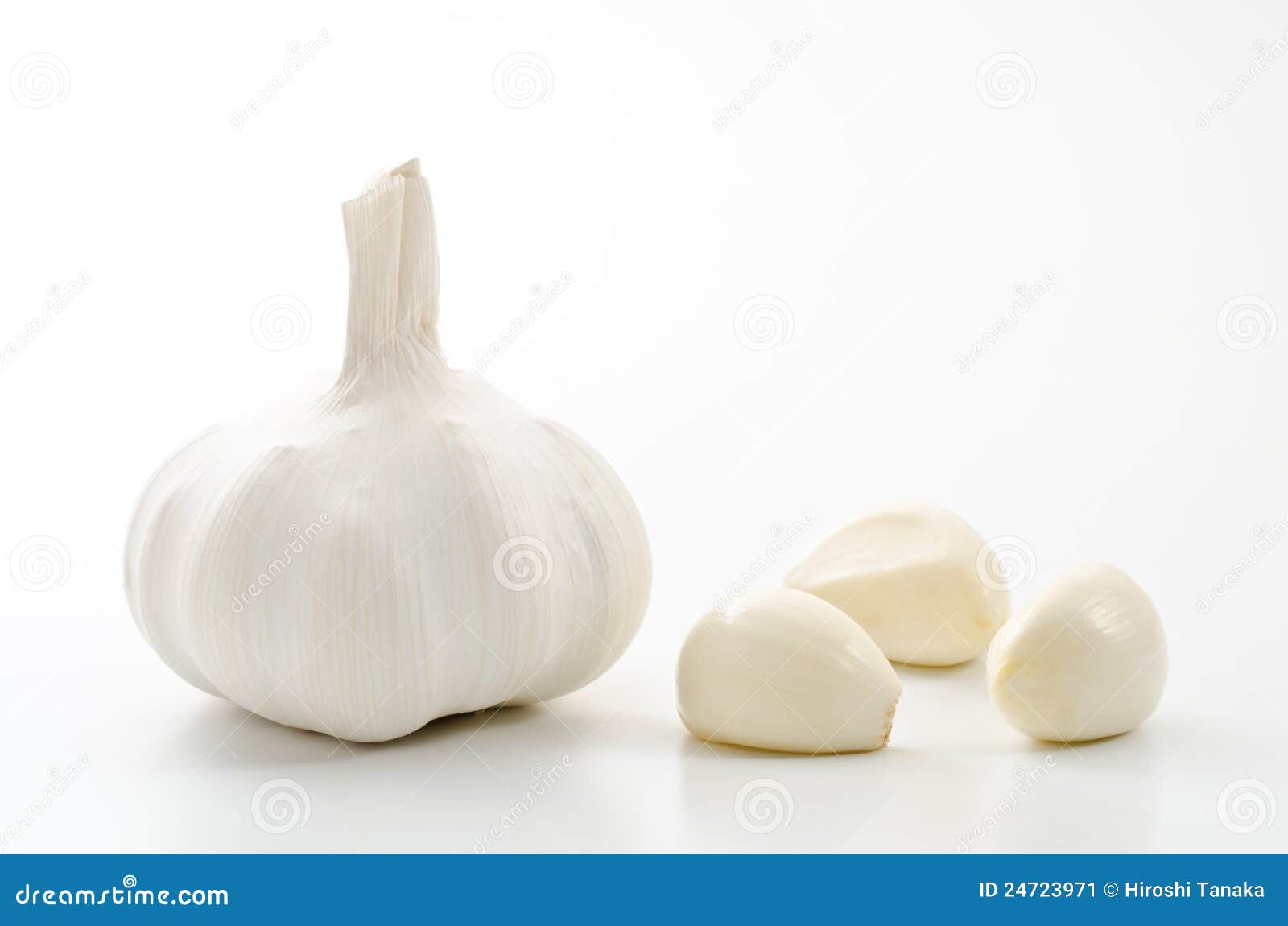 White garlic stock image. Image of spice, herb, still - 24723971