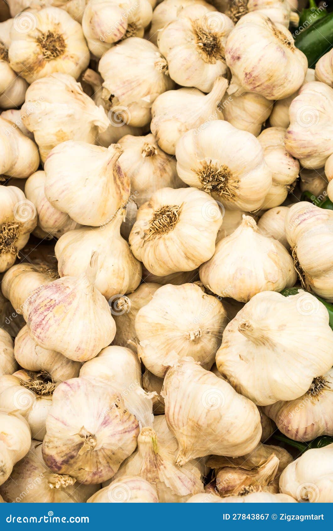 White Garlic Gloves on Display Stock Image - Image of crops, harvesting ...