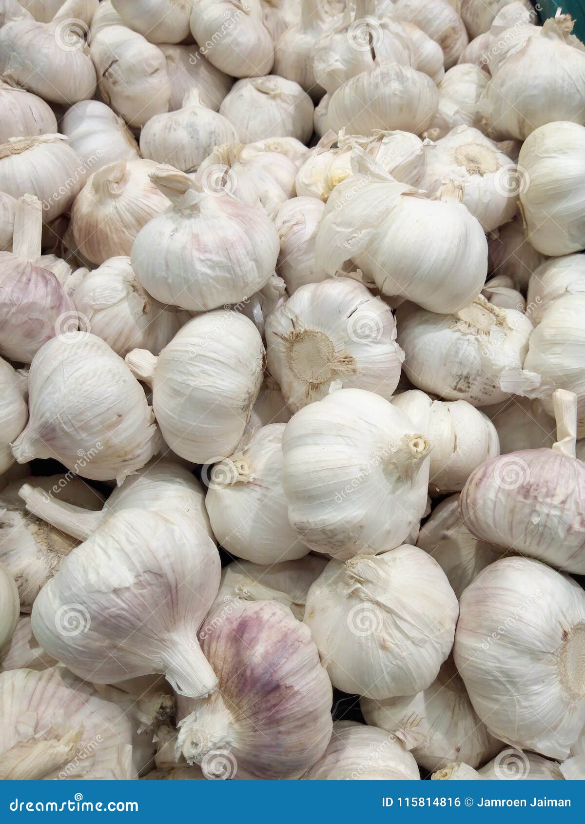 White Garlic Head Heap Top View Stock Photo - Image of natural, clove ...