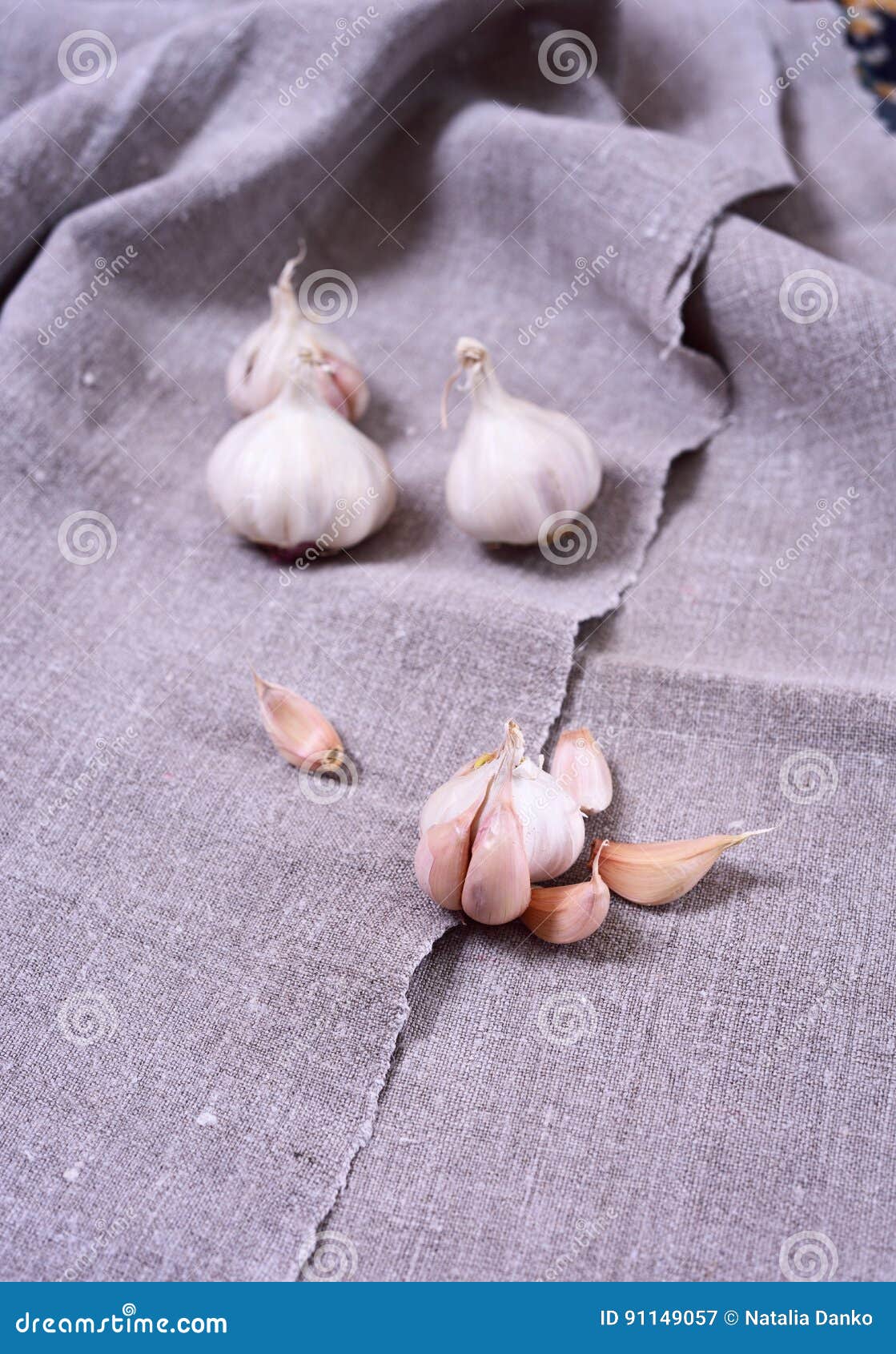 White Garlic in Husk on Gray Fabric Stock Image - Image of natural ...