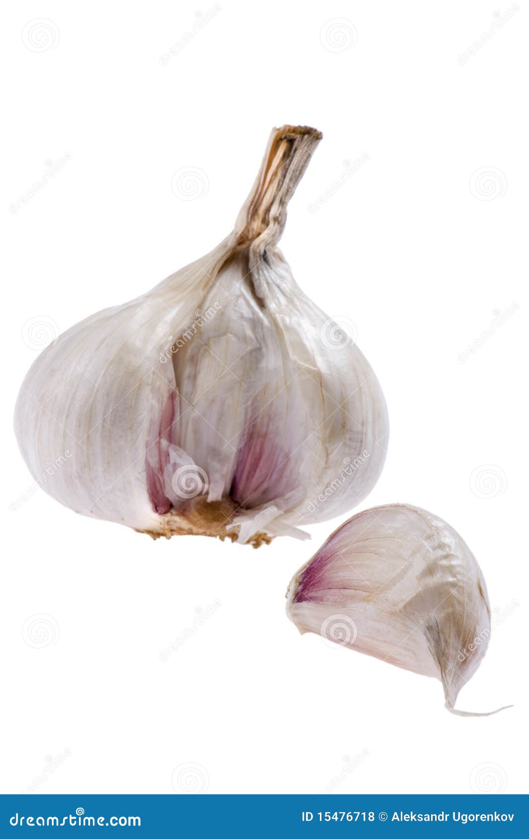 White Garlic on White Background Stock Photo - Image of isolated ...