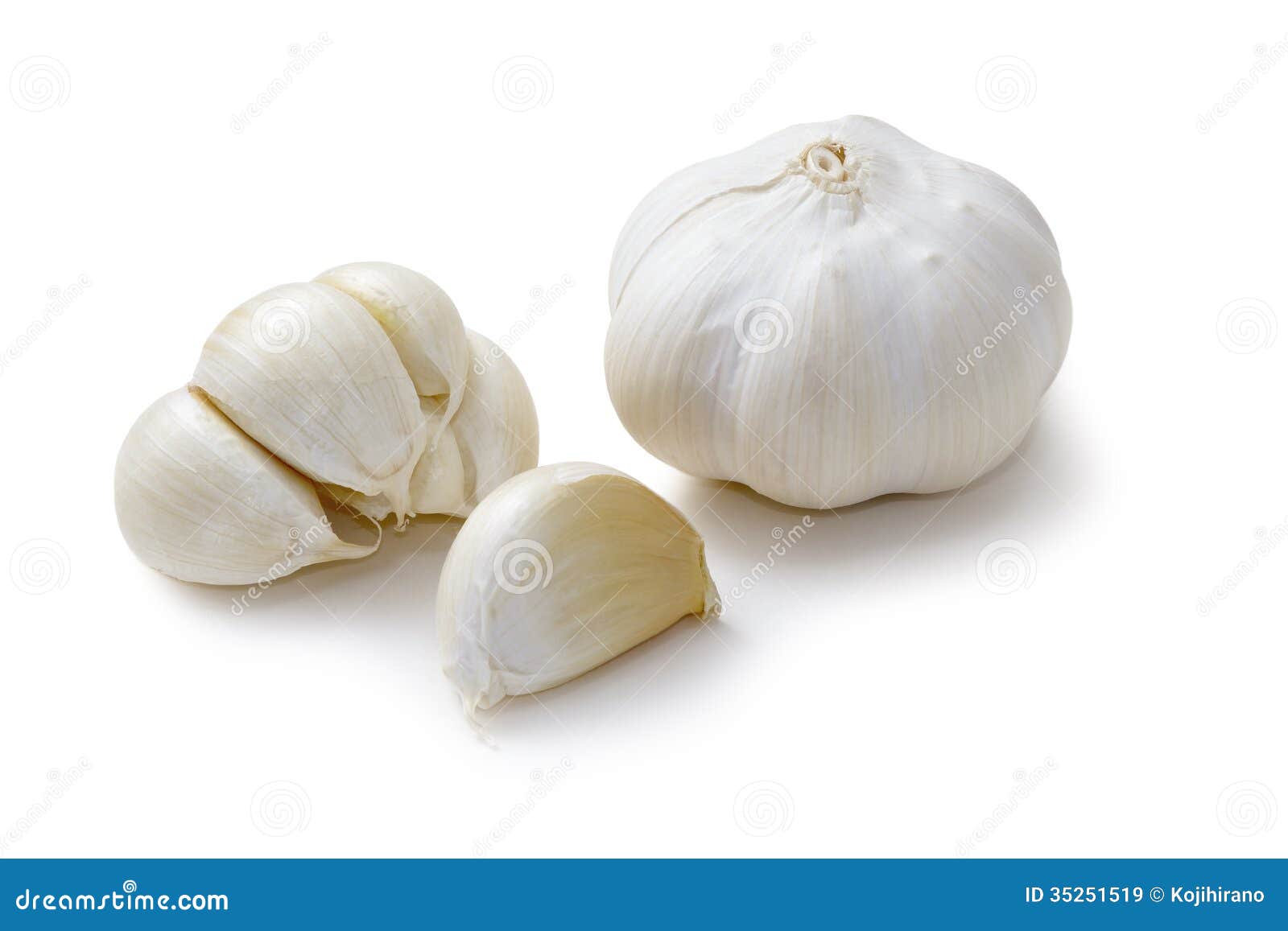 White Garlic stock image. Image of bulb, food, medicine - 35251519