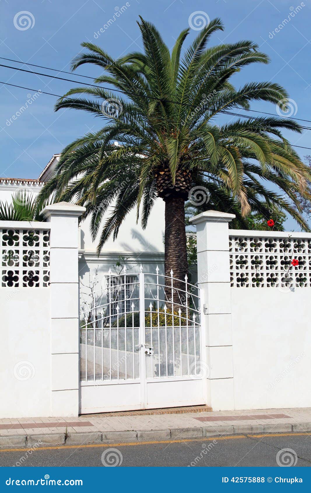 White gate and palm tree stock photo. Image of open, fence - 42575888