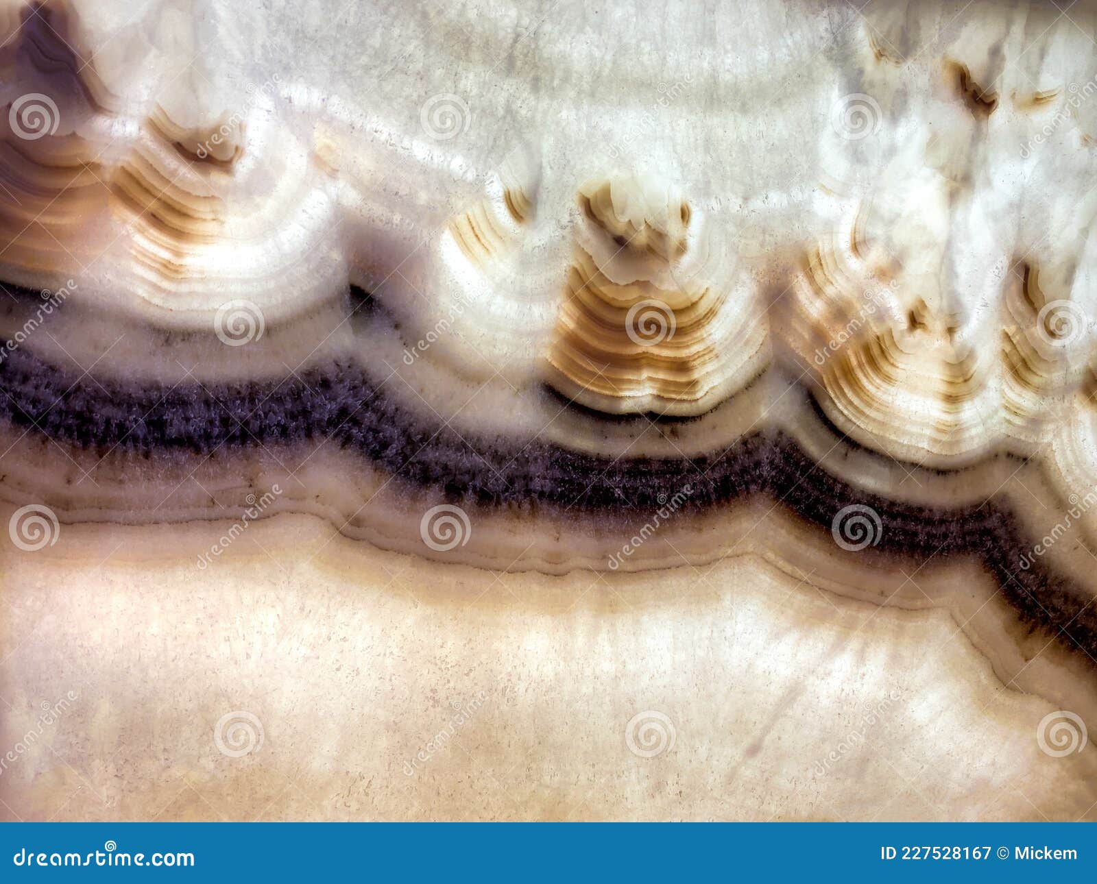White Geode Slice Closeup Pattern Stock Image | CartoonDealer.com ...