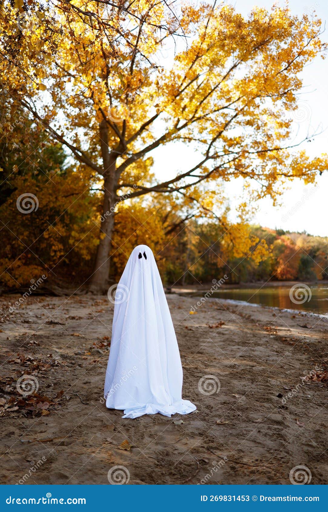 A White Ghost on the Beach, Looking Down at the Water Stock Image ...