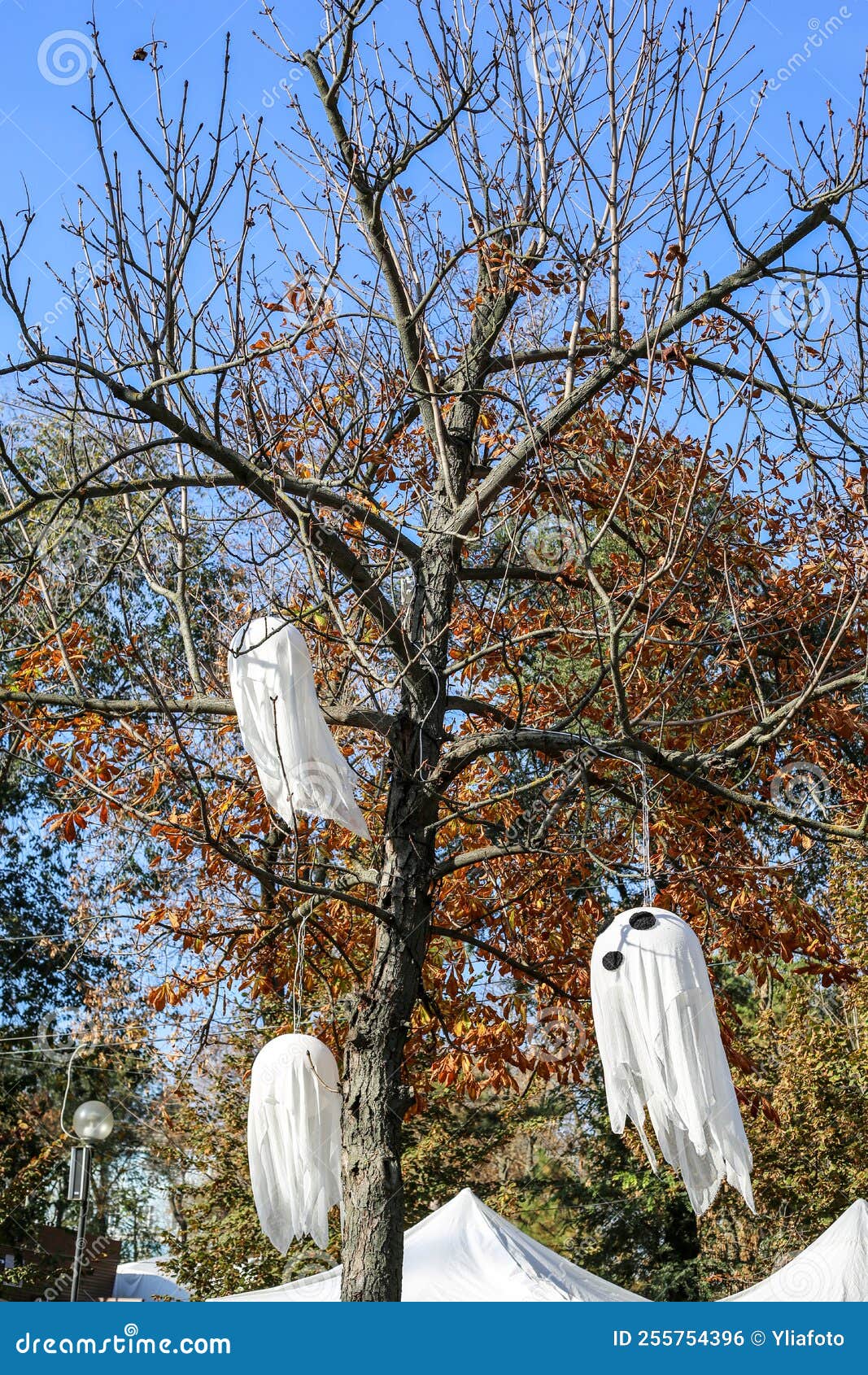 White Ghosts on a Tree. Decorations for the Halloween Holiday. Stock Photo - Image of fear ...