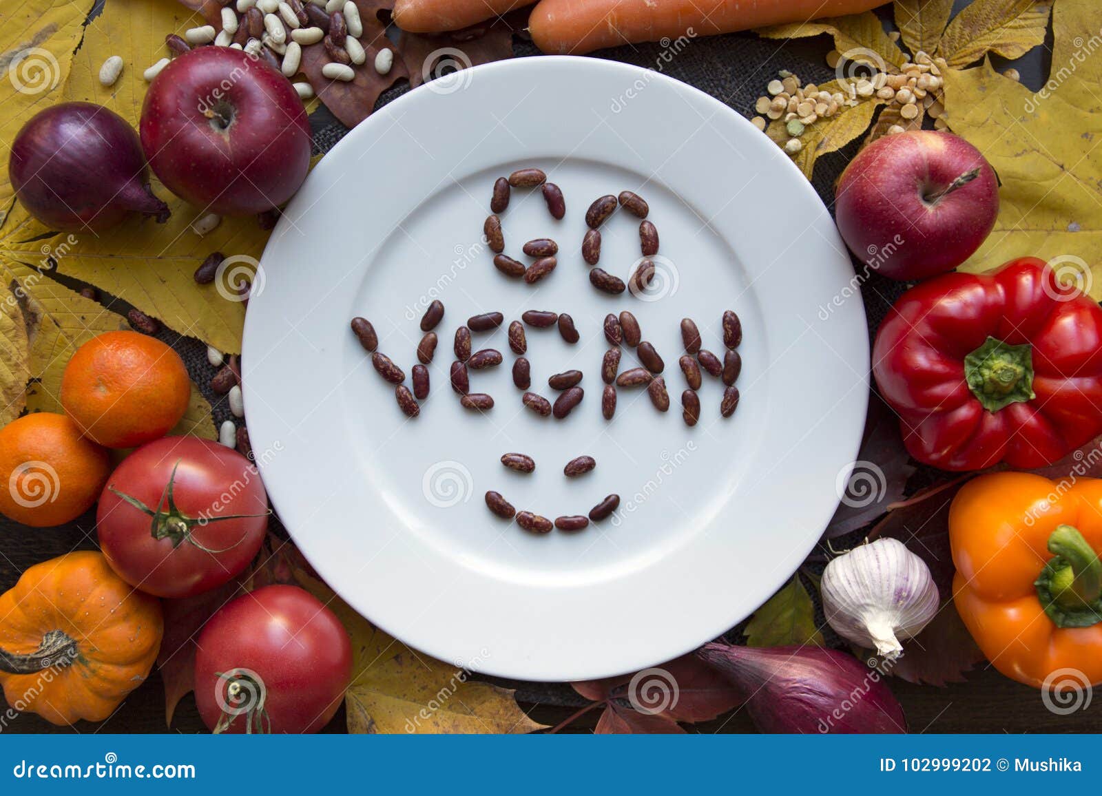 White Go Vegan Plate with Various Vegetables Top View Stock Photo ...