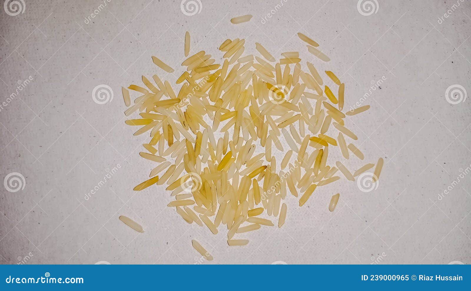 White and Gold Rice with White Background Stock Image - Image of design ...