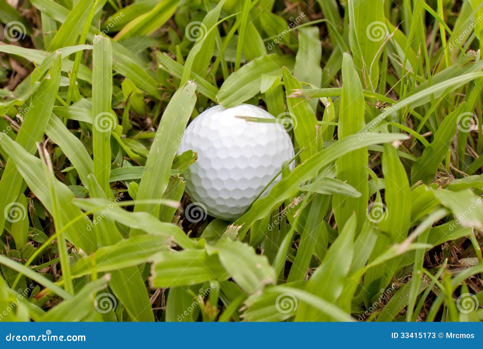 White Golf Ball Drop in Heavy Rough Stock Image - Image of object, mood ...