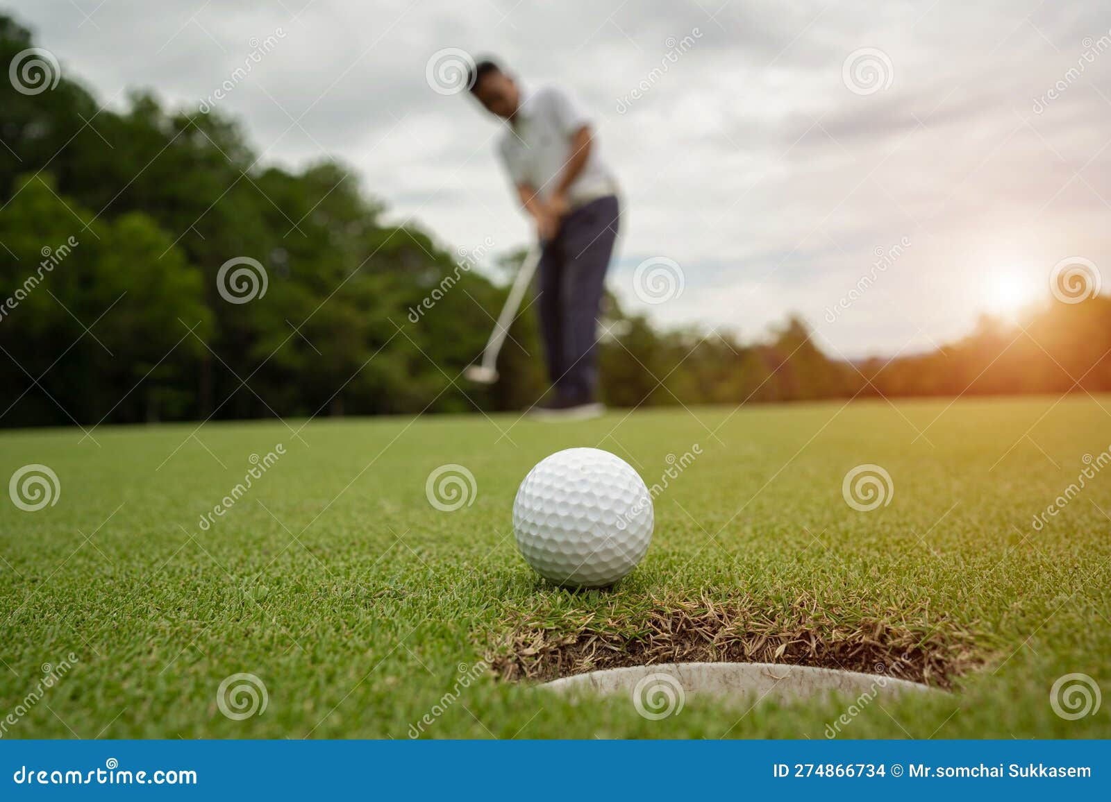 White Golf Ball Rolling Down Golf Hole on Putting Green with Evening ...