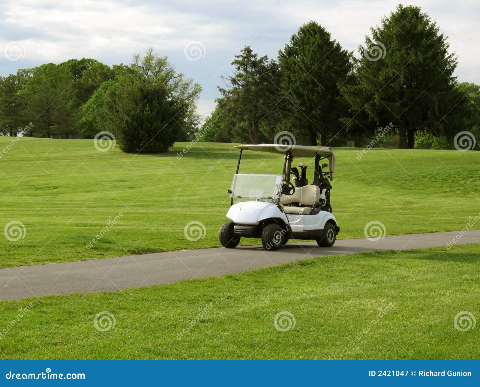 White Golf Cart stock image. Image of grass, cart, green - 2421047